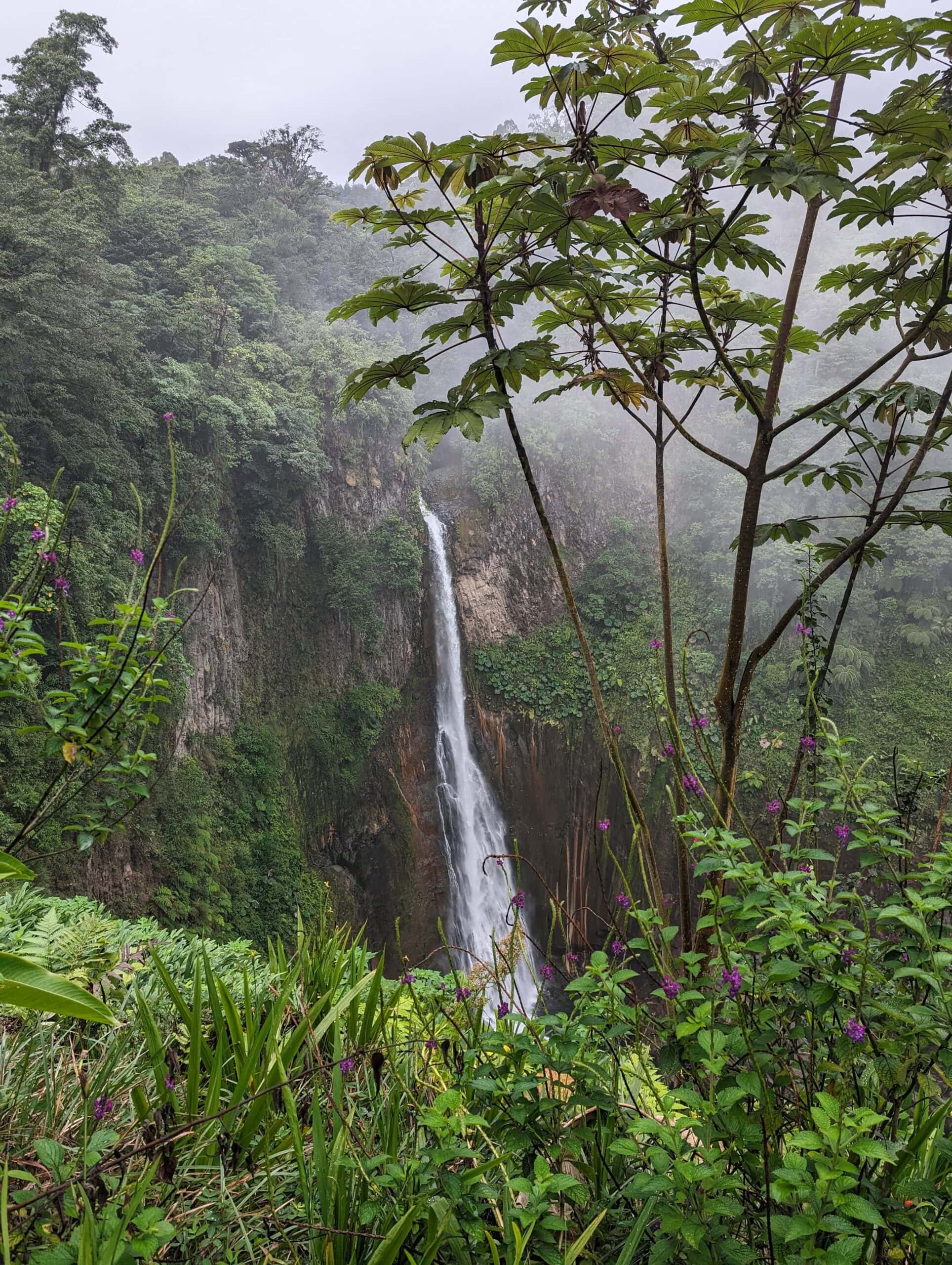The Blue Falls of Costa Rica, The Bluest Falls in Costa - Sea2Peak ...
