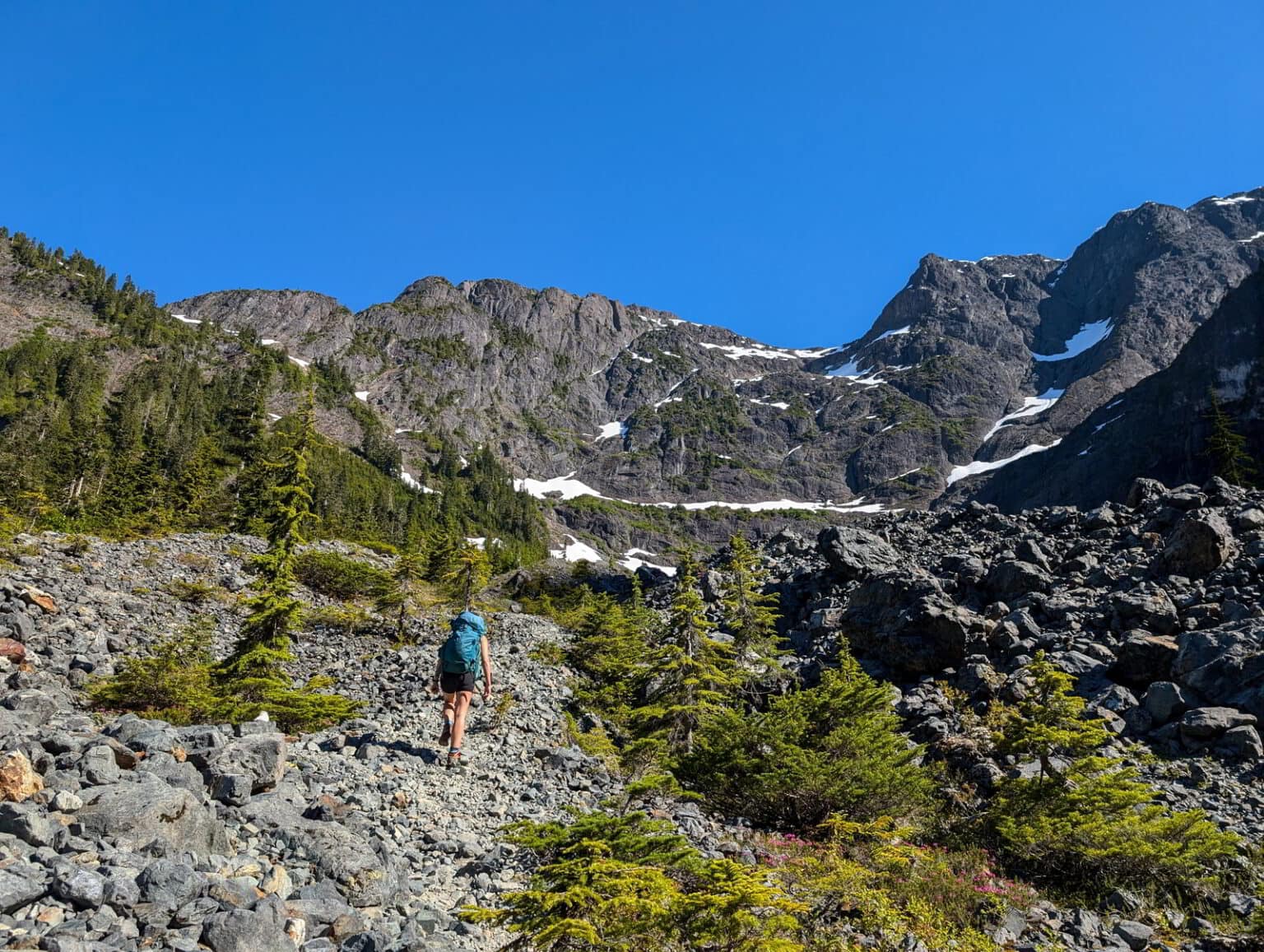 Landslide Lake The Best Hike In (Strathcona Park) - Sea2Peak Hiking ...