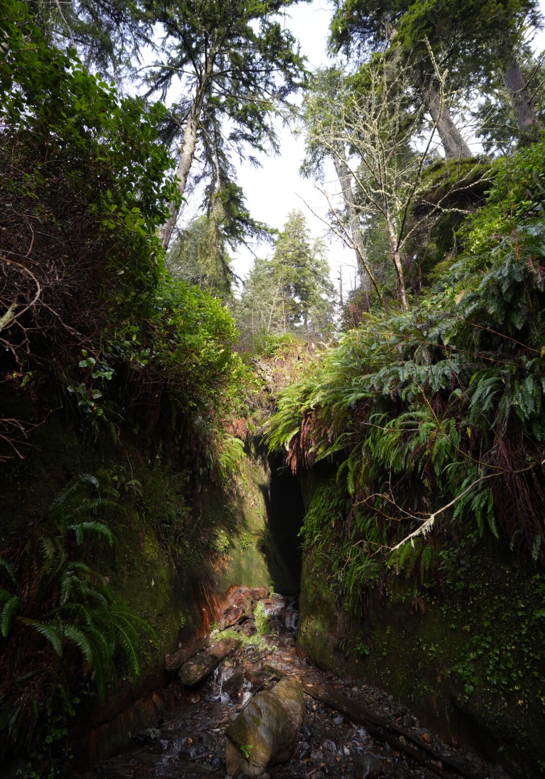 Vancouver Islands Hidden Waterfall Sombrio Beach Juan De Fuca ...