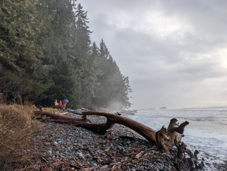 Vancouver Islands Hidden Waterfall Sombrio Beach Juan De Fuca ...