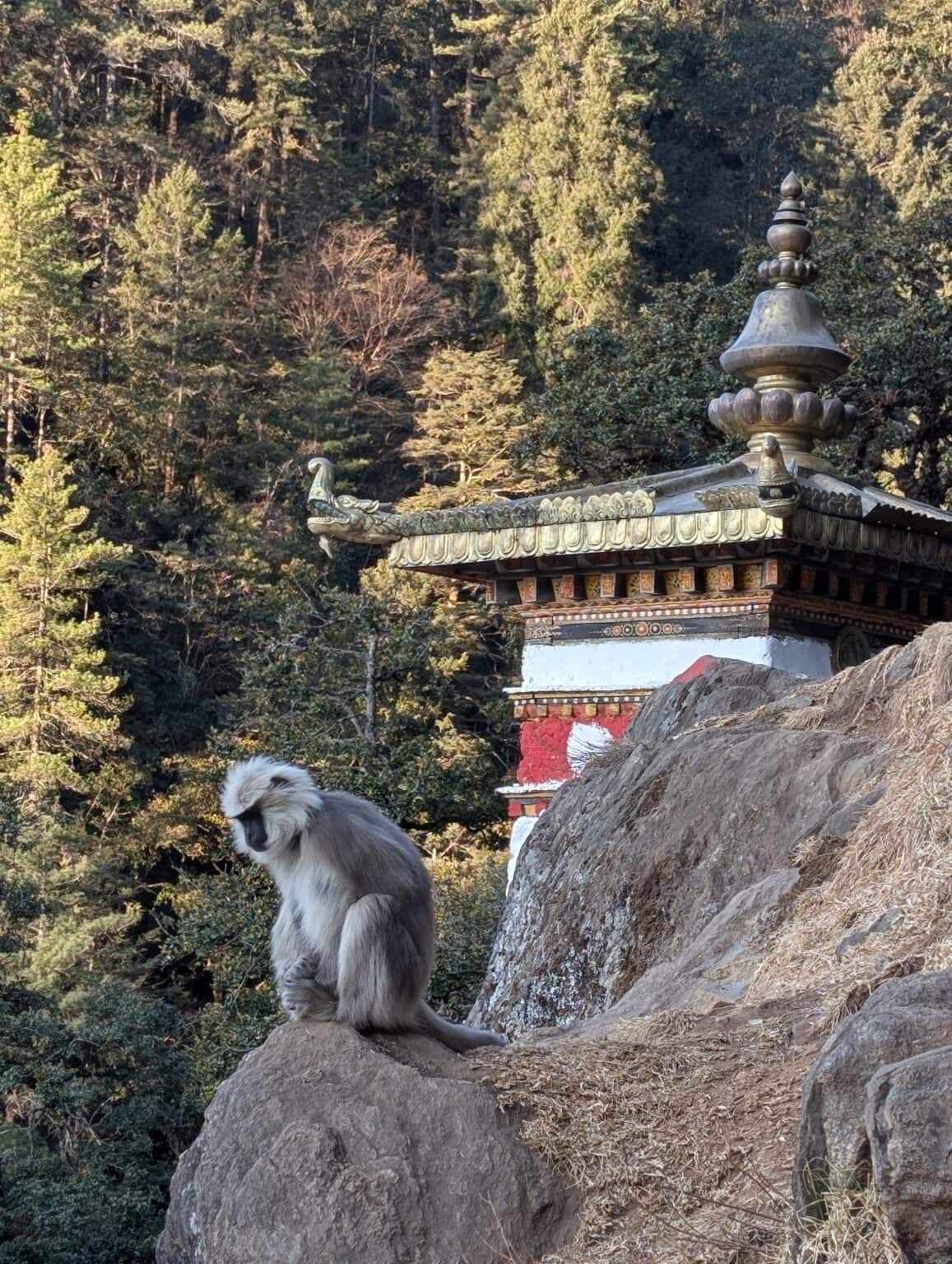 Spending The Night At A 300 Year Old Monastery In Bhutan - Sea2Peak ...