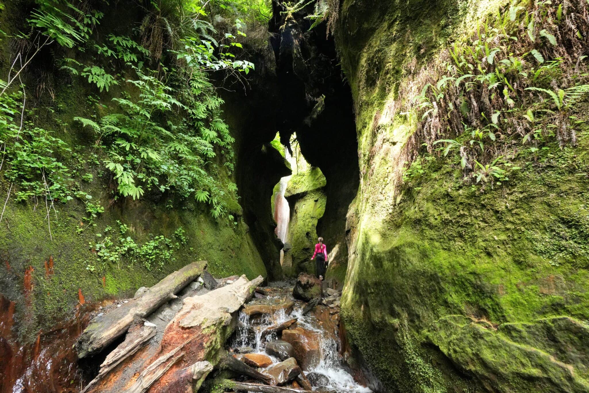 Vancouver Islands Hidden Waterfall Sombrio Beach Juan De Fuca ...