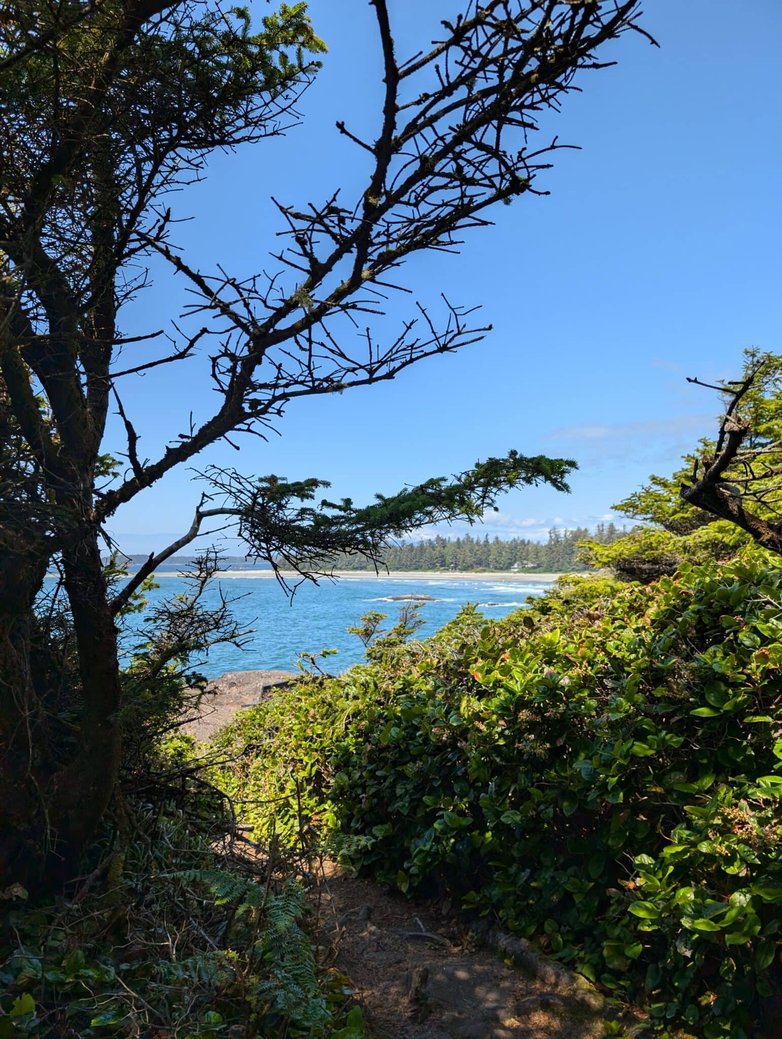 Cox Bay Beach Lookout (Tofino, BC) Hike and Directions - Sea2Peak ...