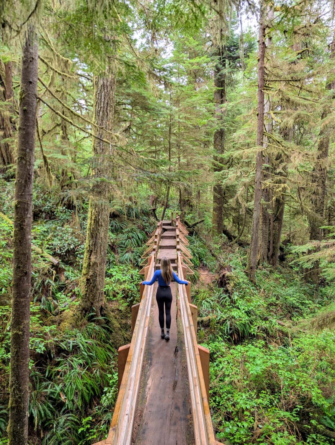 Tofino's Rainforest Trail: Vancouver Island's Best Rainforest Hike ...