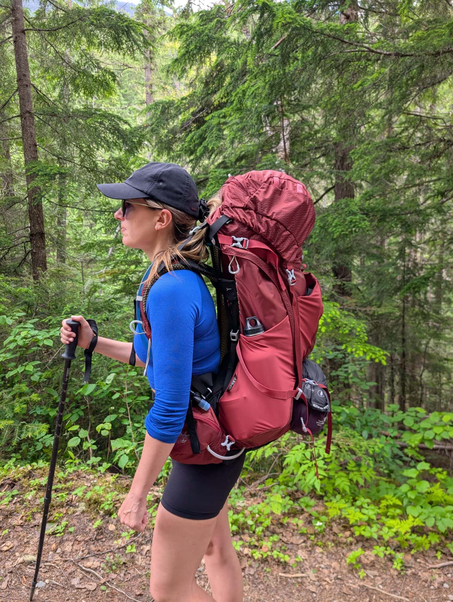 Mount Robson And The Berg Lake Trail - The Best Hike In BC (2025 Guide ...