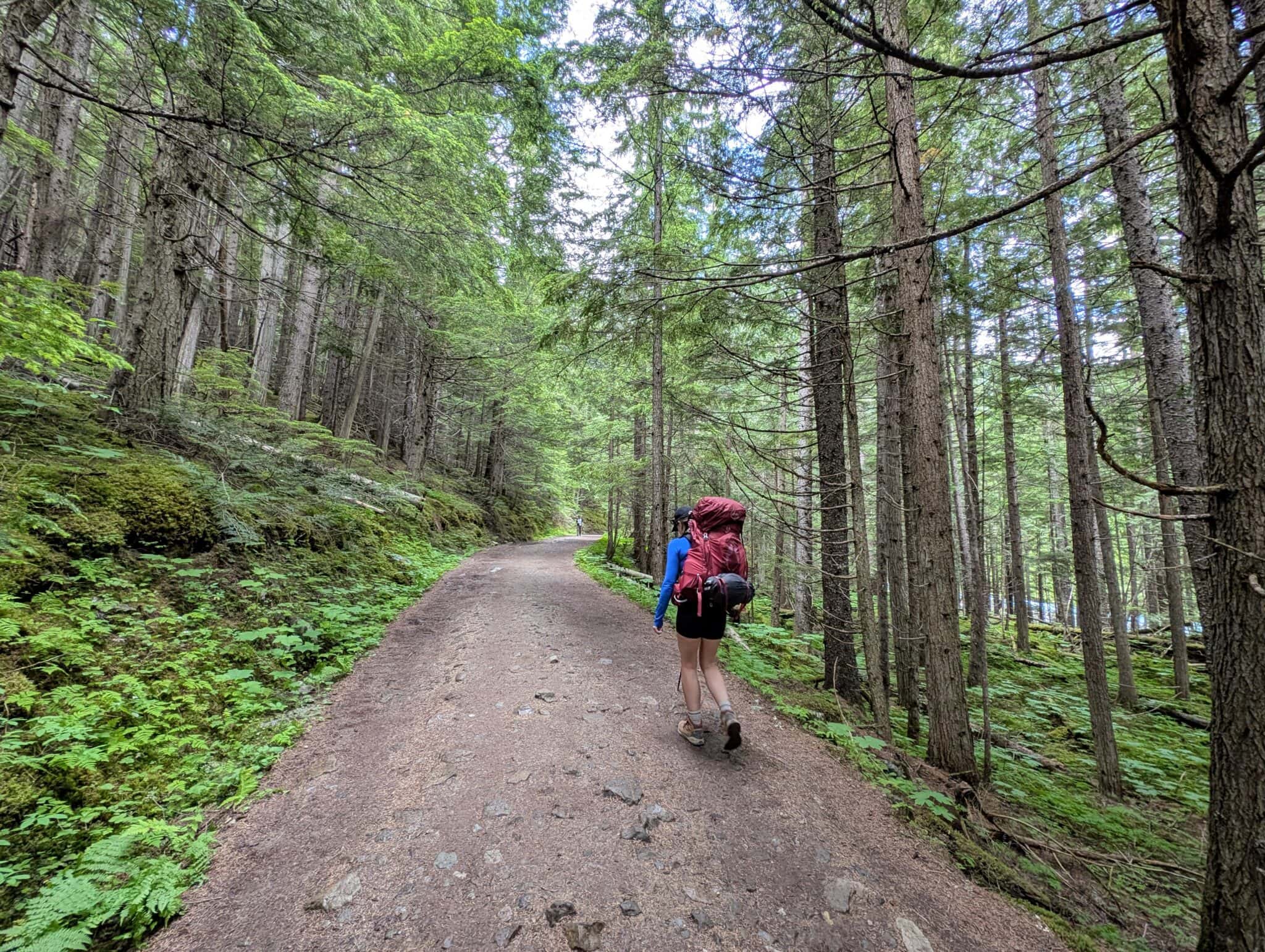 Mount Robson And The Berg Lake Trail - The Best Hike In BC (2025 Guide ...
